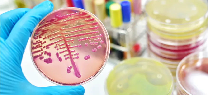 Yeast Infections and Diabetes: Key Insights