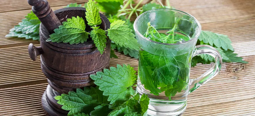 7 Herbal Drinks For Effective Stress Management