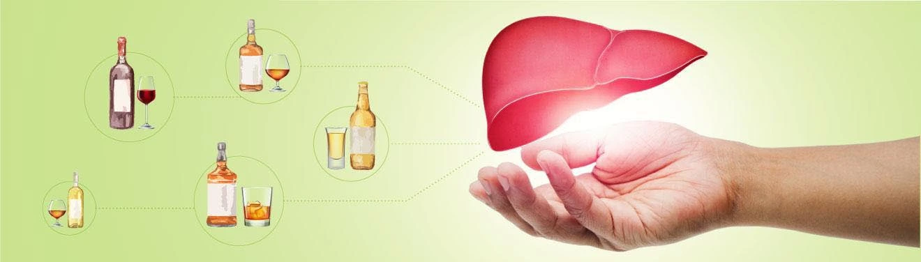 How Drinking Too Much Alcohol Can Damage Your Liver