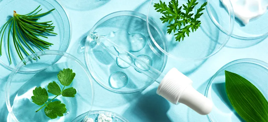 Best Skincare Ingredients for Your Skin Type | Expert Guide