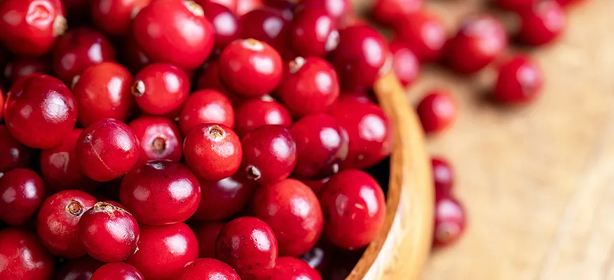 Cranberry Power: Health Benefits of This Tiny Superfood