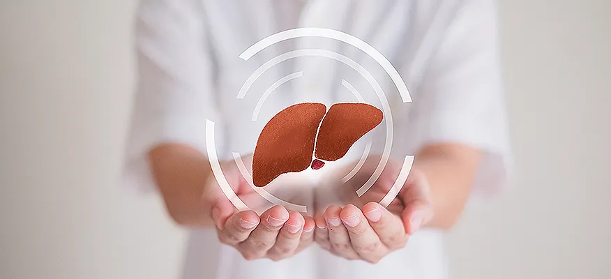 The Complete Guide to Liver Health | Mega We Care