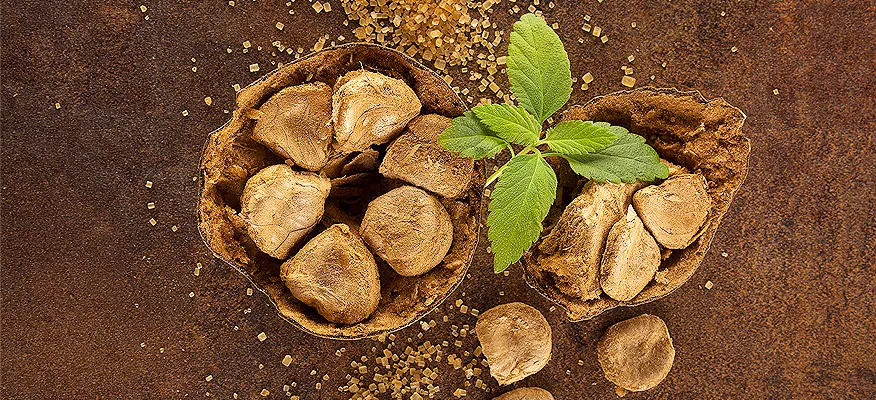 Health Advantages Of Luo Han Guo (Monk Fruit)