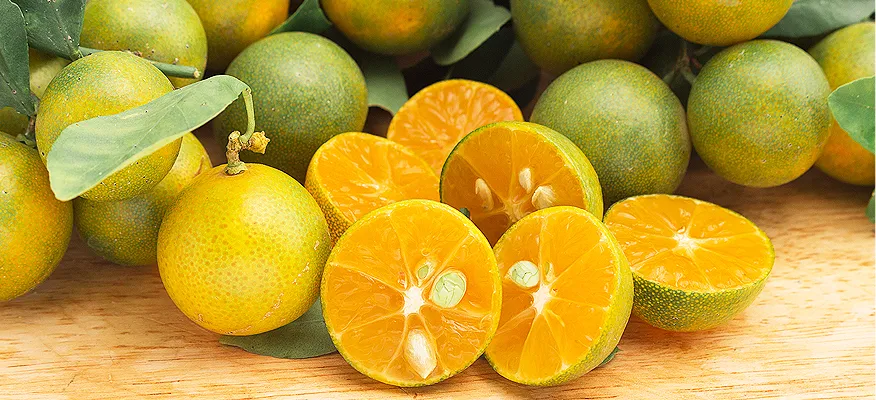 Calamansi: Health Benefits, Uses, Essential Guide | Mega We Care