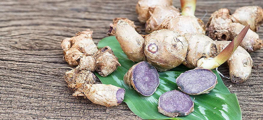 Top Health Benefits of Black Ginger (Kaempferia parviflora)