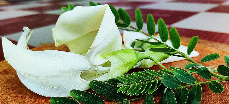 Agathi Keerai Leaves and Their Amazing Health Benefits