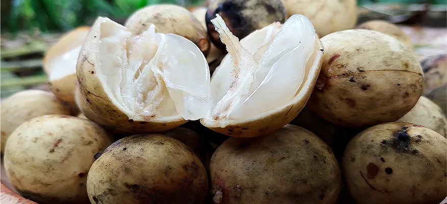 Top Health Benefits of Langsat Fruit (Lanzones) | Mega We Care