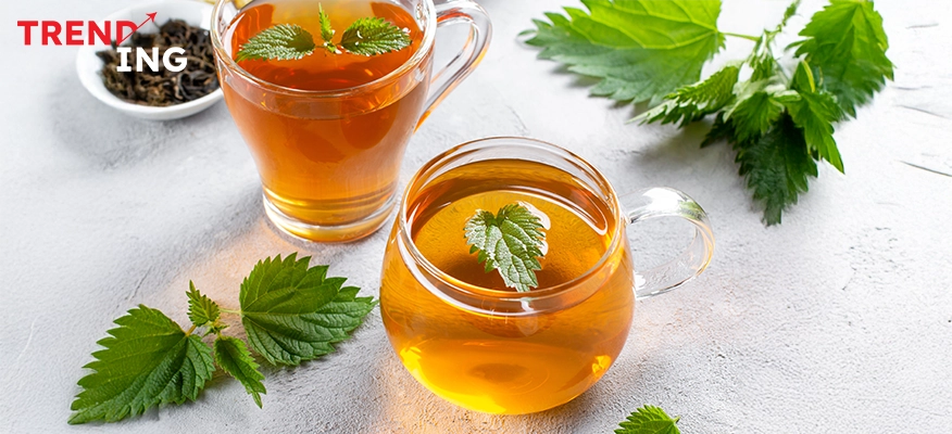 What is nettle tea? Top benefits of nettle & how to use it.