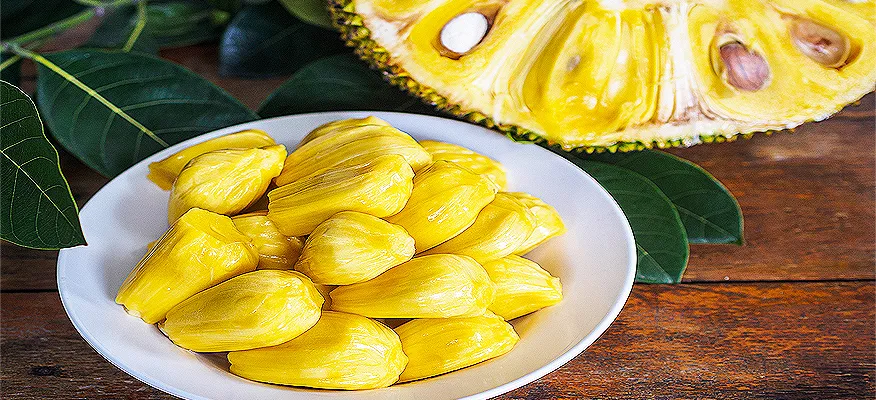 Jackfruit for Pregnant Women: Benefits, Risks, and Tips